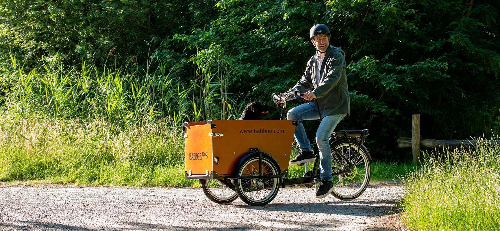 Ein E Bike für den Hund: das Babboe Dog | Babboe